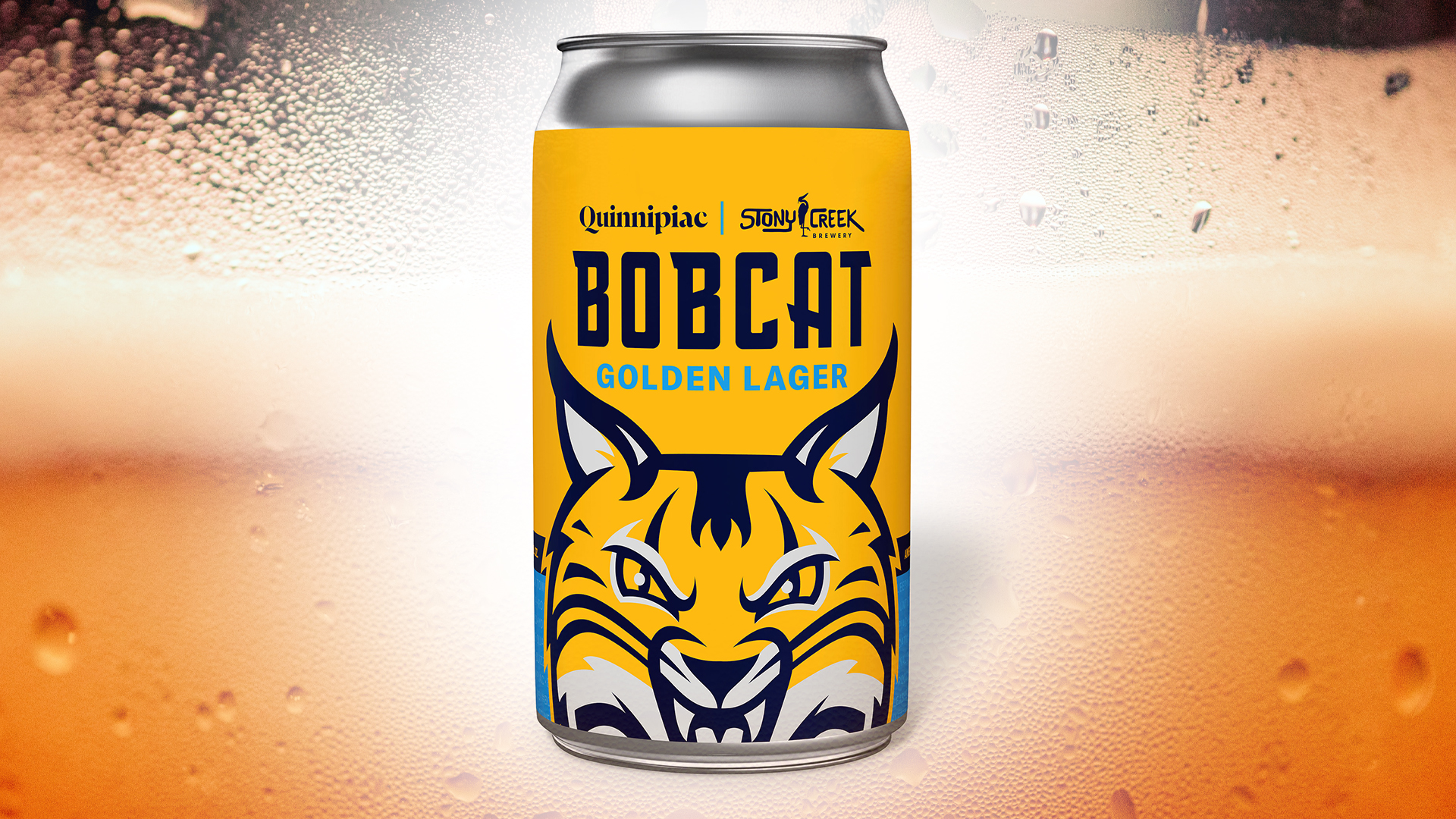 Quinnipiac University and Stony Creek Brewery partner to launch new ...